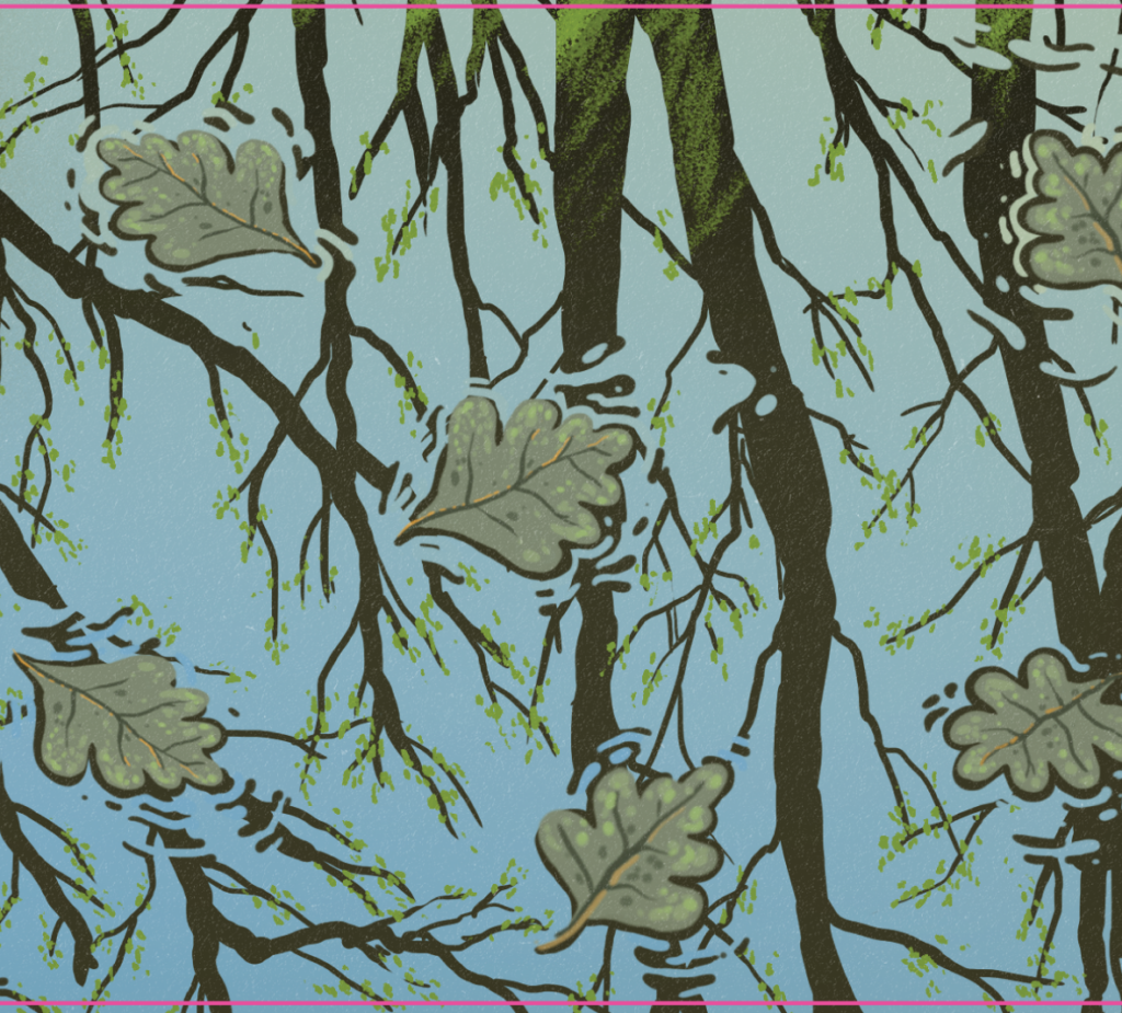 Kaixo - Equal Parts Brewing